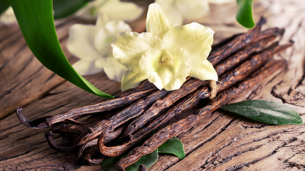 The Medicinal Value of Vanilla – Institute of Natural Therapeutics